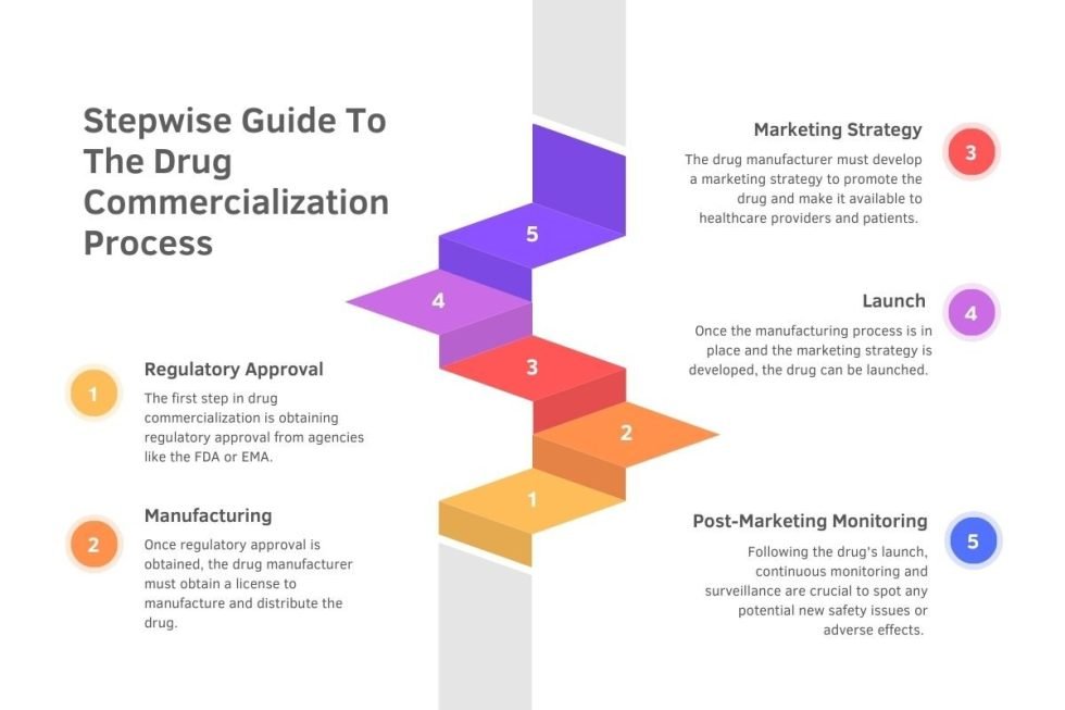 Drug Commercialization Process: From Research to Market