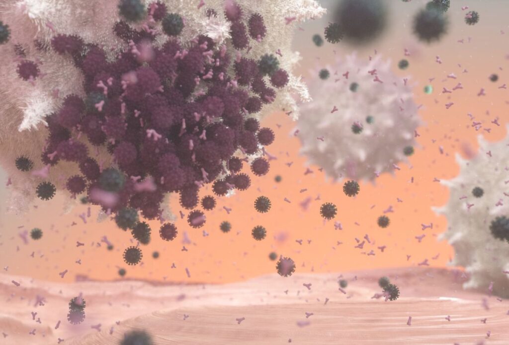 Immunology Primer 201 - Biotech Primer Inc.